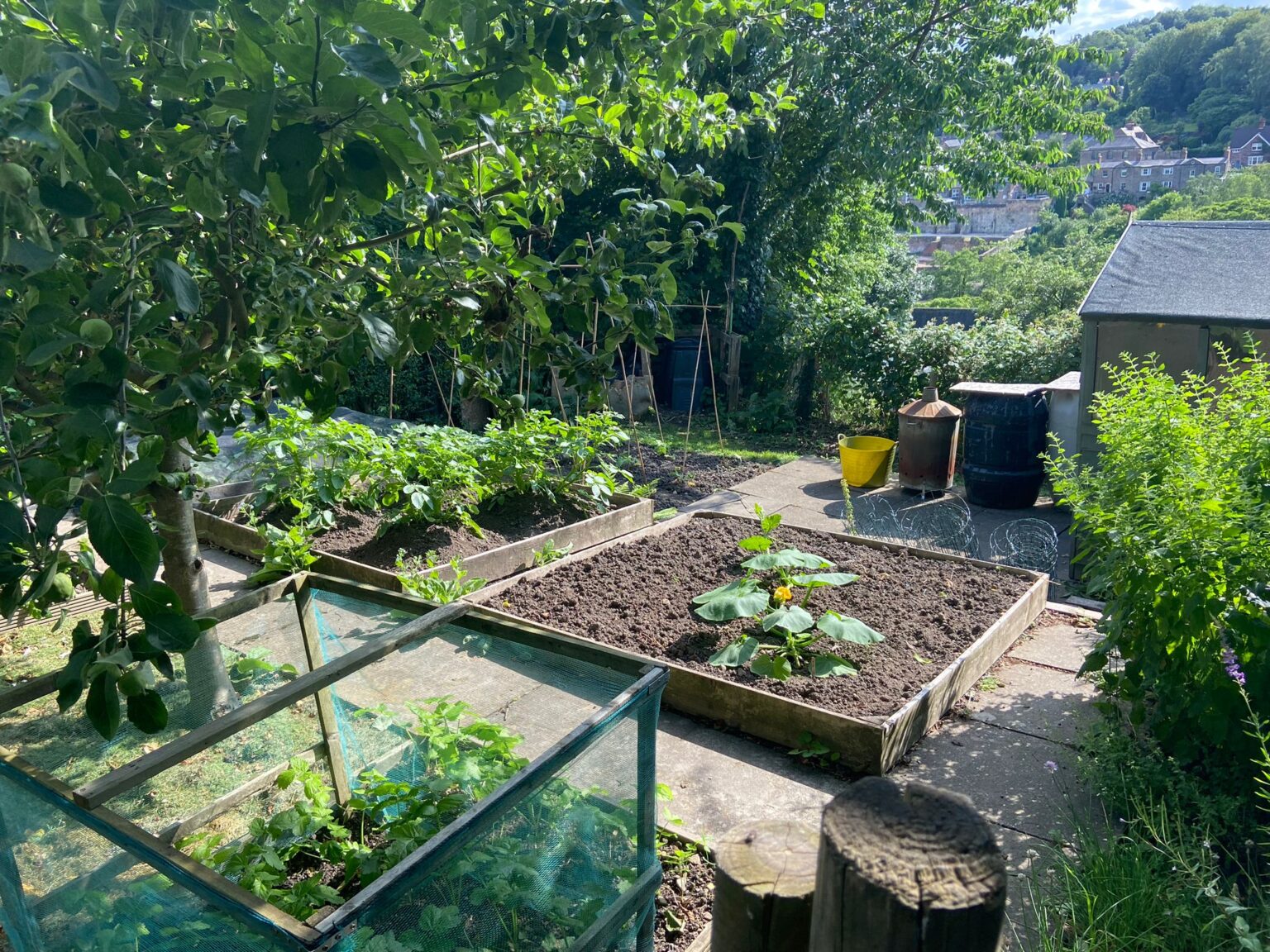 Allotments - Milford & MakeneyMilford & Makeney